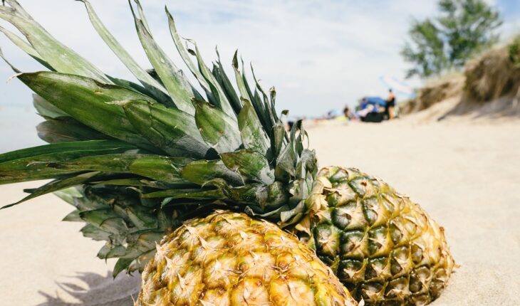Ananas - Nutritivne vrijednosti i kalorijska tablica - Tablica Kalorija